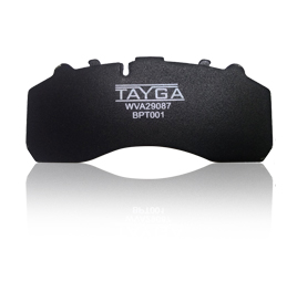 TAYGA